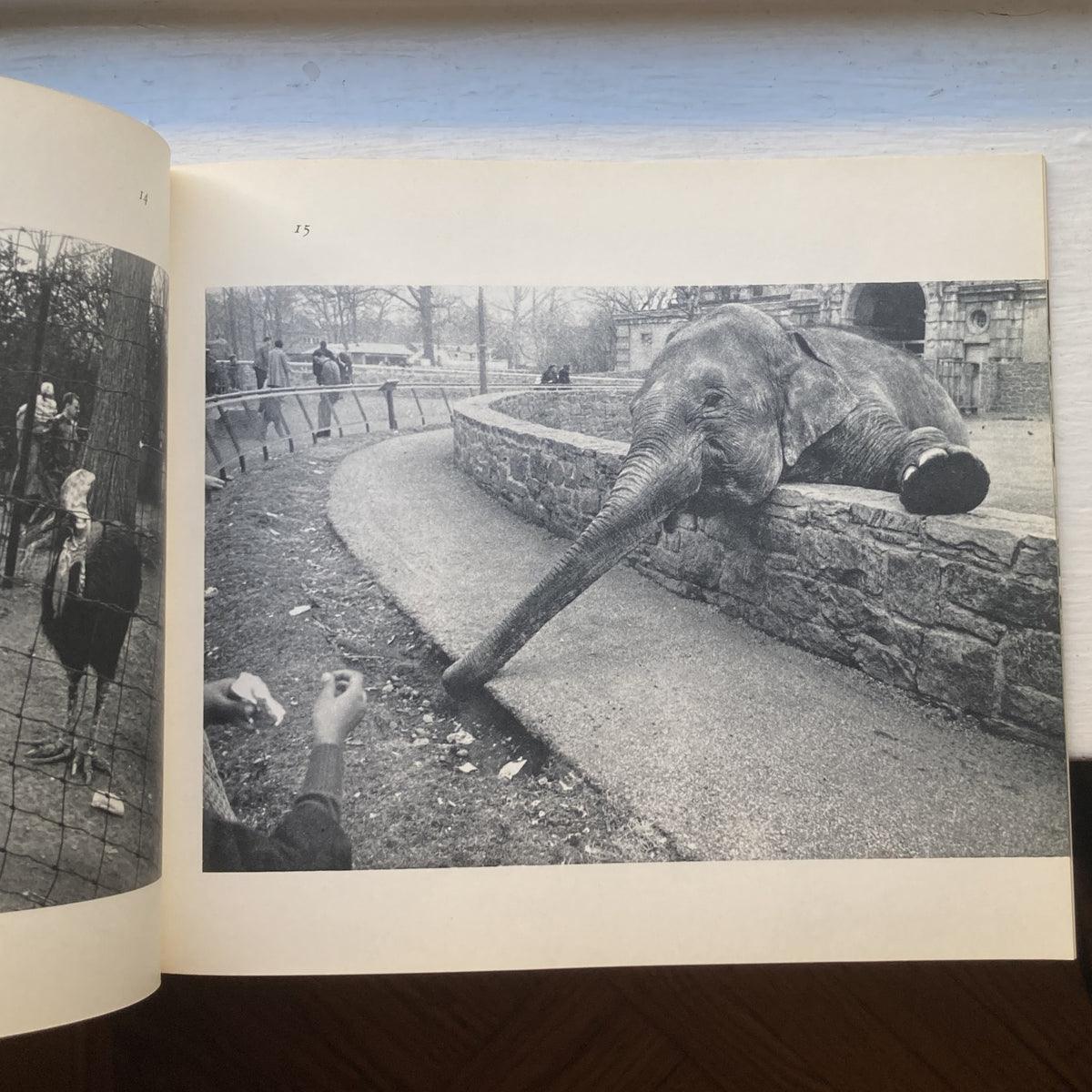 Garry Winogrand The Animals